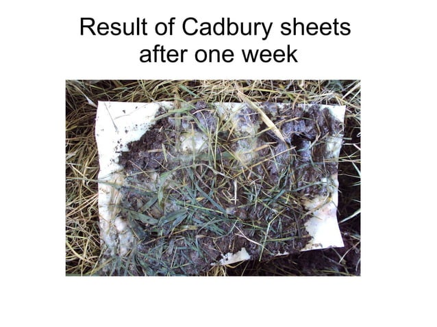 Cadbury Sheet Composting | PPT