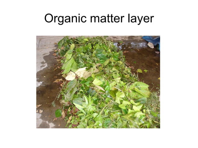 Cadbury Sheet Composting | PPT