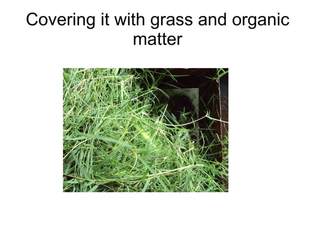 Cadbury Sheet Composting | PPT