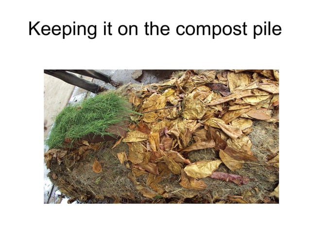 Cadbury Sheet Composting | PPT