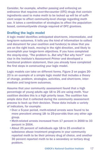 Cadca Planning Primer | PDF