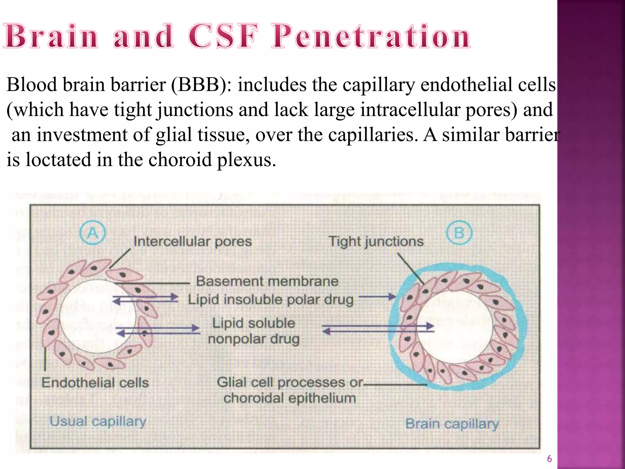 Drug Distribution ,Drug Excretion, Active Transport; P–gp, BCRP ...