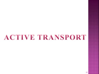 Drug Distribution ,Drug Excretion, Active Transport; P–gp, BCRP ...