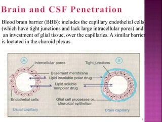 Drug Distribution ,Drug Excretion, Active Transport; P–gp, BCRP ...