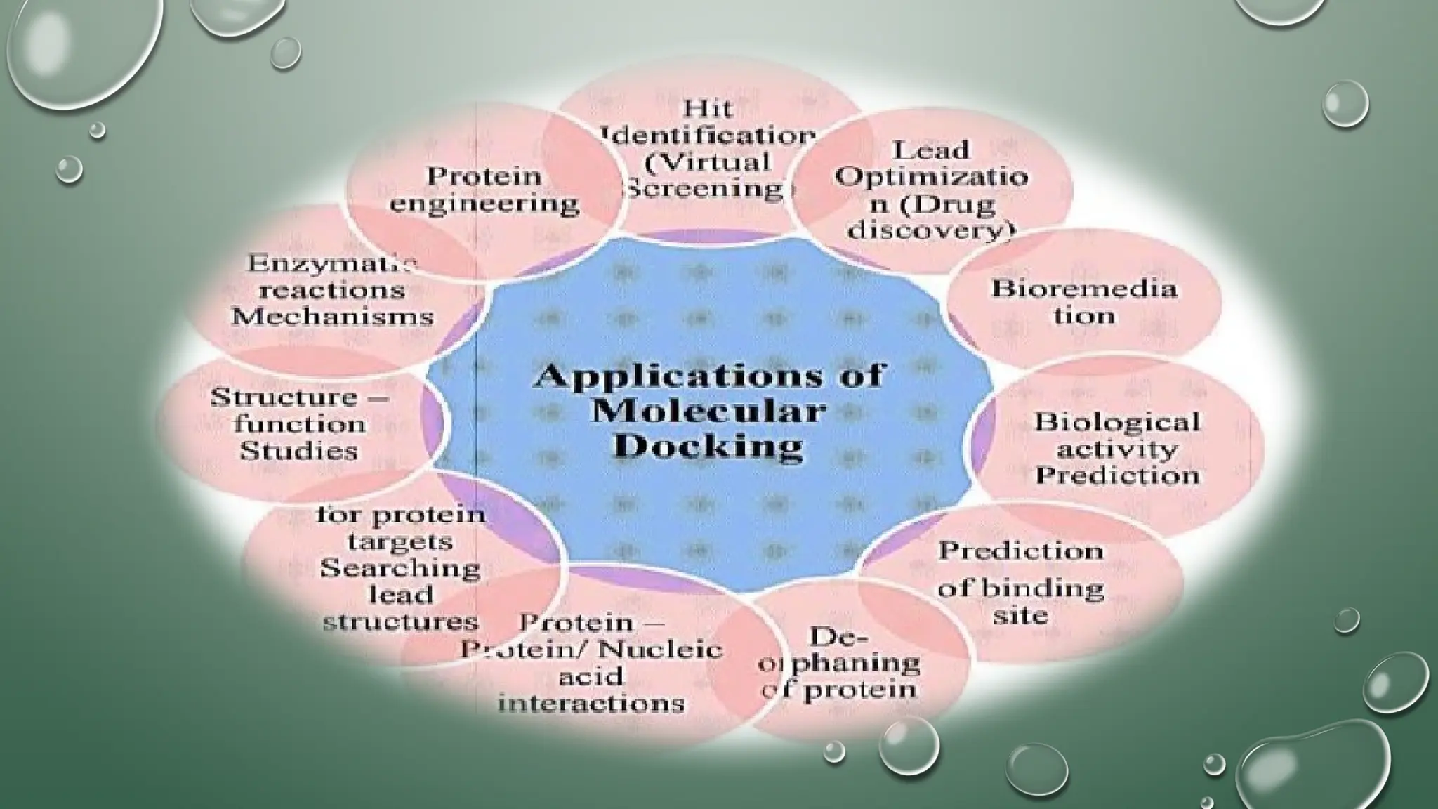CADD and molecular docking overview.pptx