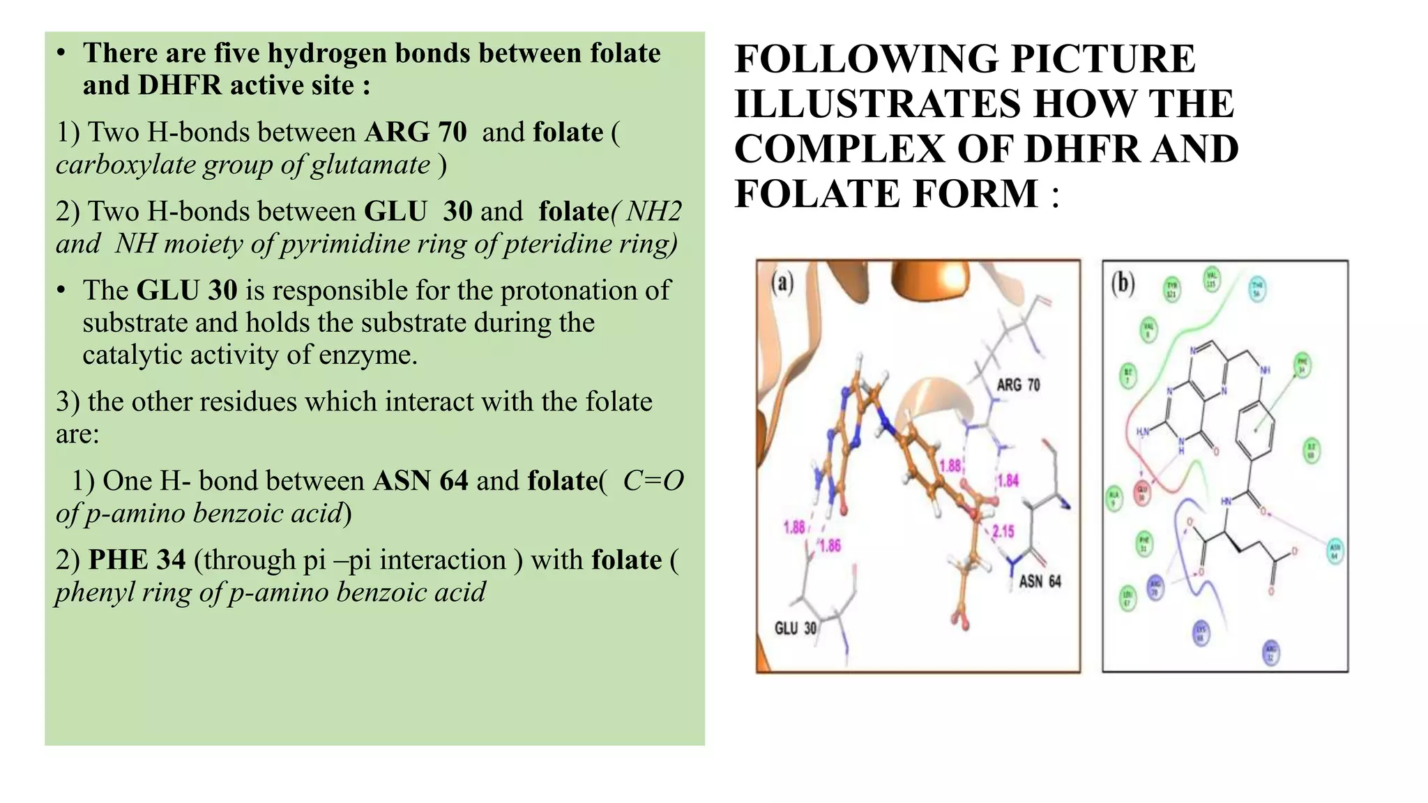 DHFR ENZYME AND ITS INHIBITORS . | PPTX