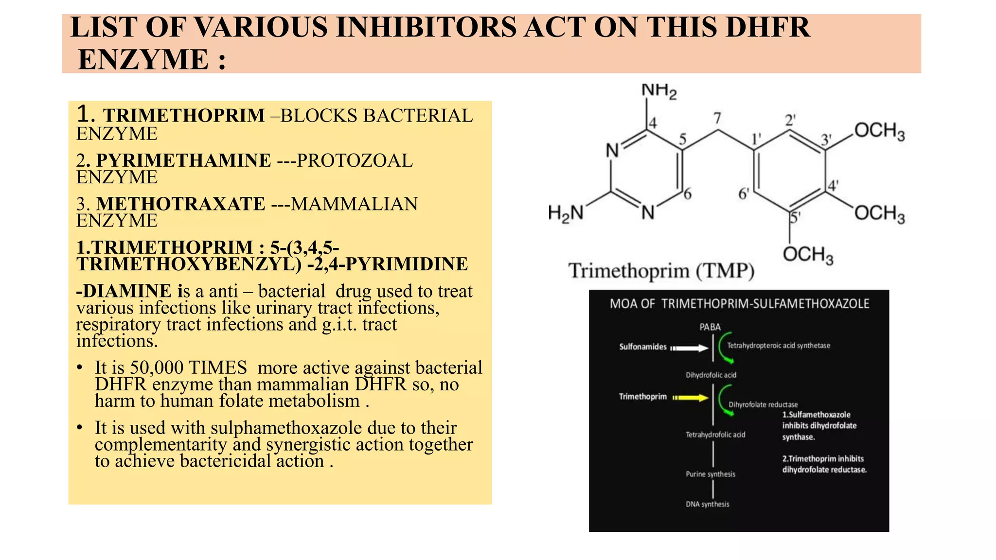 DHFR ENZYME AND ITS INHIBITORS . | PPTX