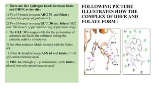 DHFR ENZYME AND ITS INHIBITORS . | PPTX