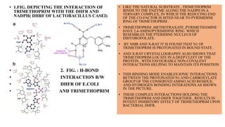 DHFR ENZYME AND ITS INHIBITORS . | PPTX