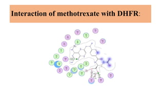 DHFR ENZYME AND ITS INHIBITORS . | PPTX