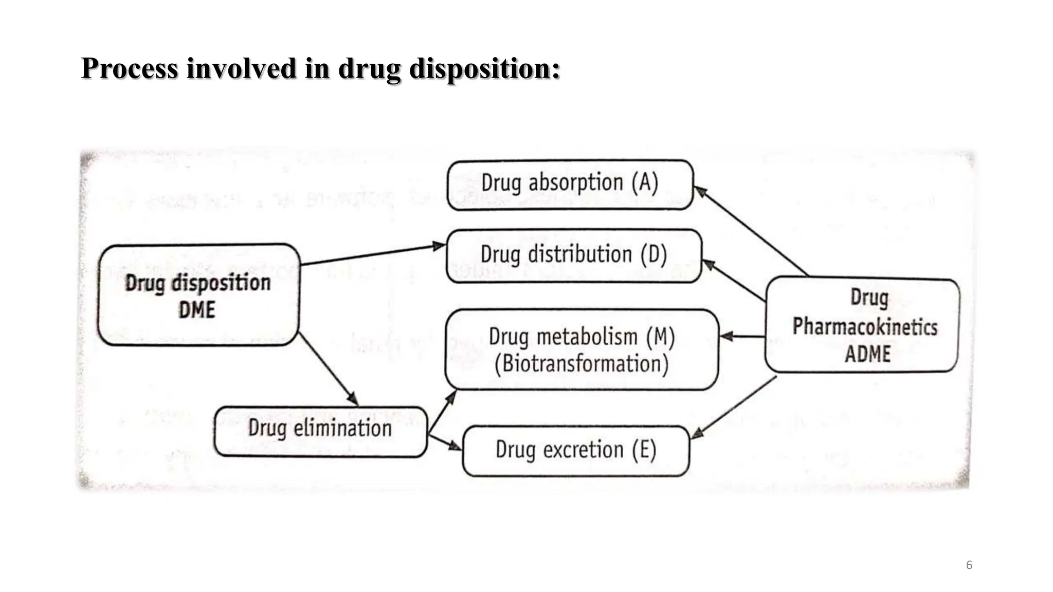 computational modeling of drug disposition in active transport M.pharm ...
