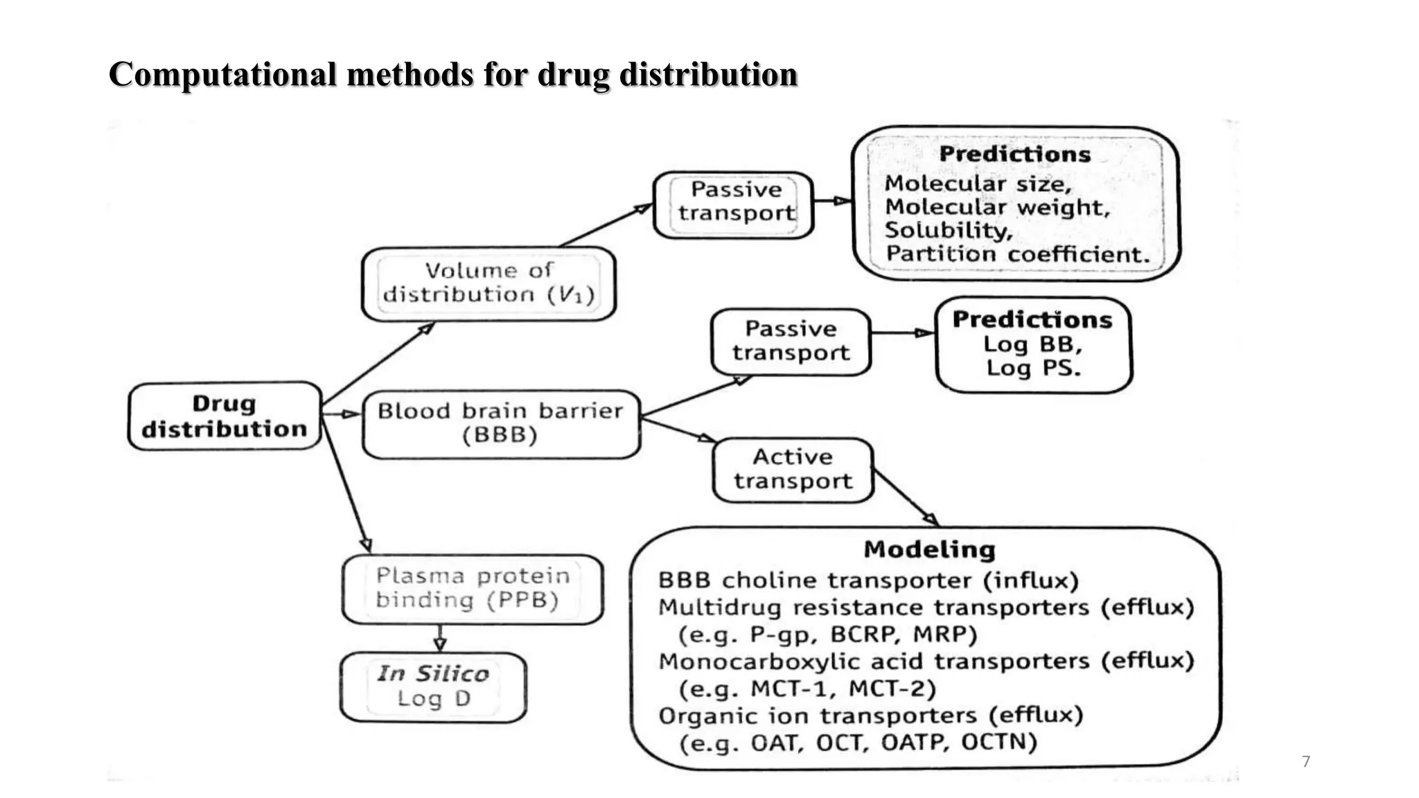 computational modeling of drug disposition in active transport M.pharm ...