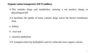 computational modeling of drug disposition in active transport M.pharm ...