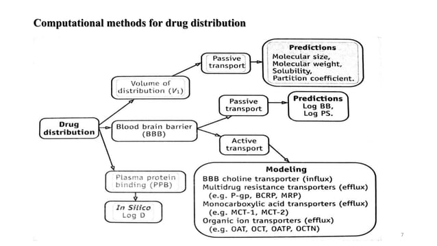 computational modeling of drug disposition in active transport M.pharm ...