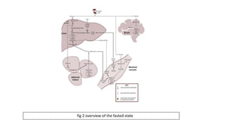 CADD PRESENTATION ON FED VS FASTED.pptx