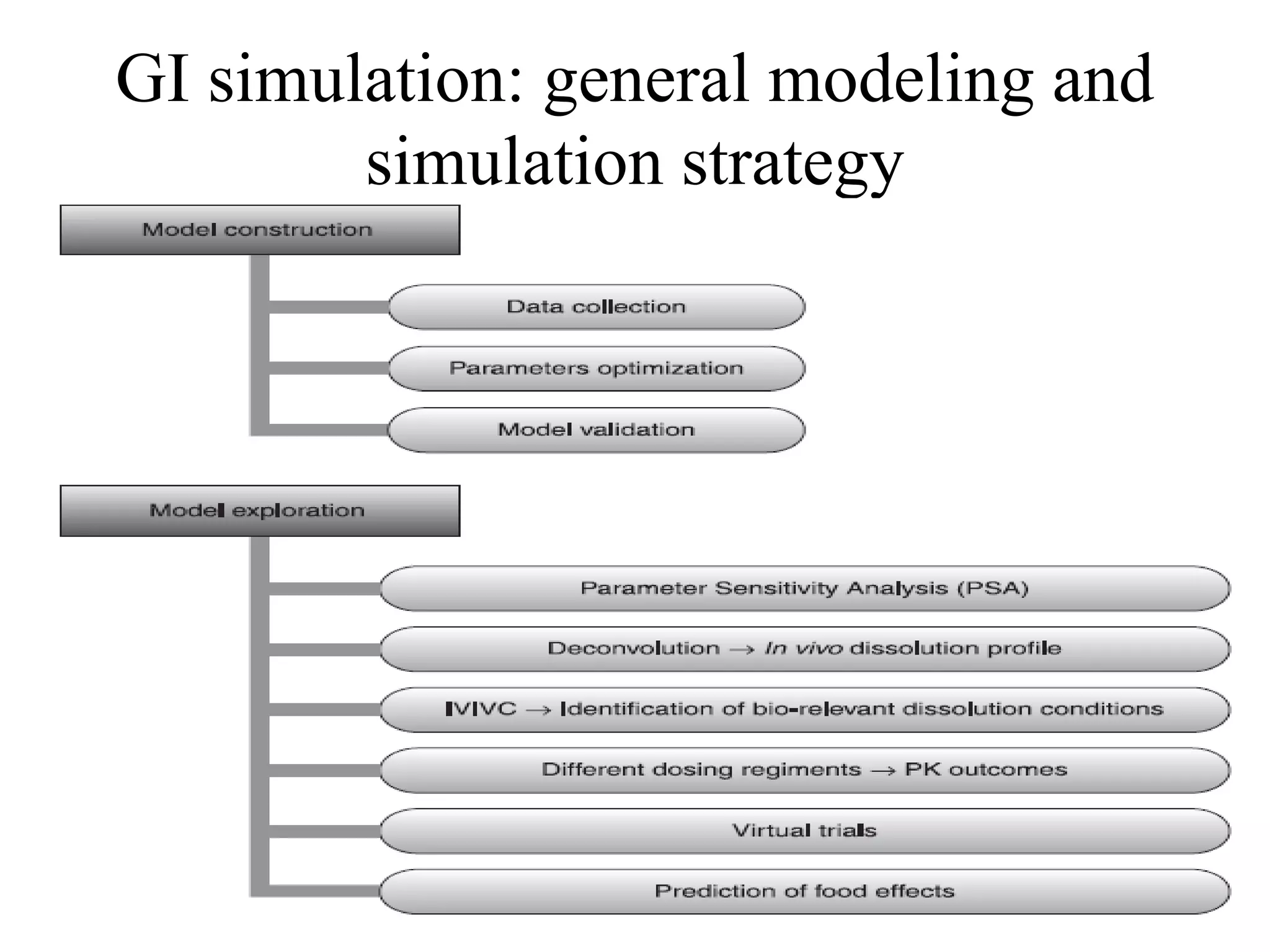model construction of GI simulation | PPTX
