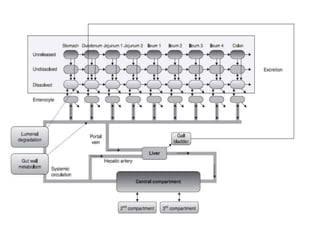 model construction of GI simulation | PPTX