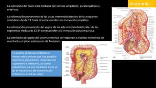Cáncer de Colon | PDF