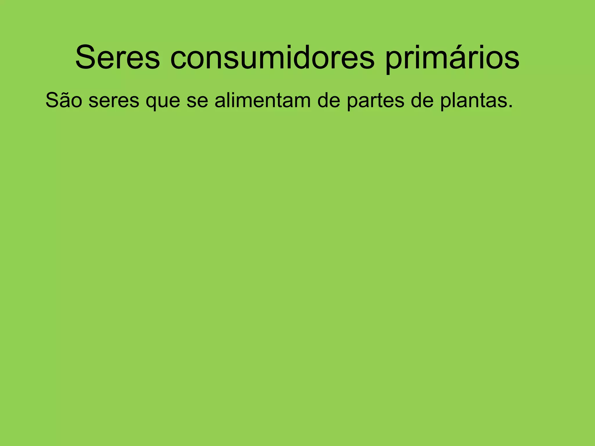 Cadeia alimentar | PPT