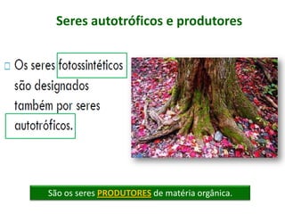 Cadeia alimentar e fluxo de energia | PPTX