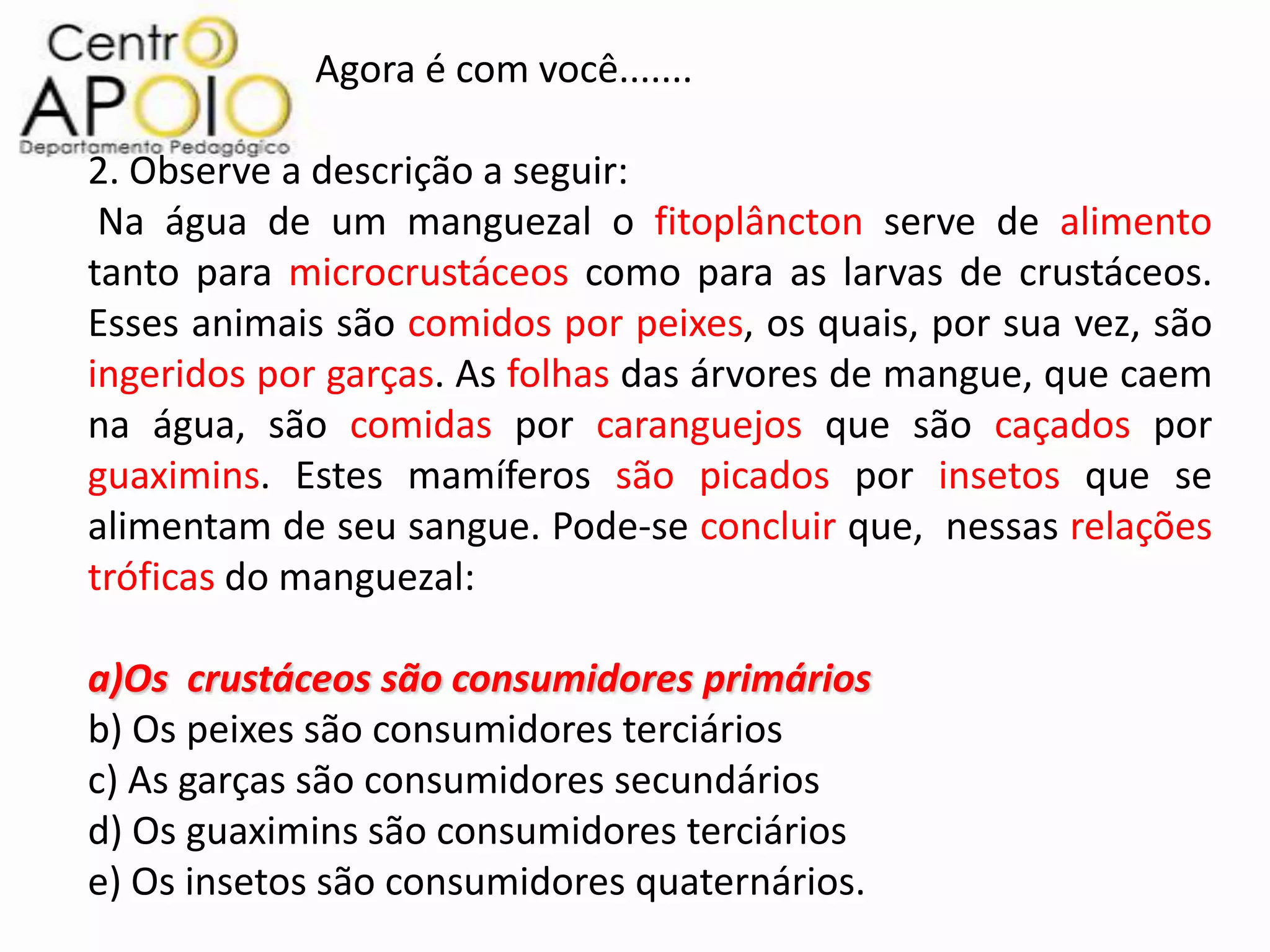 www.aulasdebiologiaapoio.com - Teia Alimentar e Cadeia Alimentar | PPT