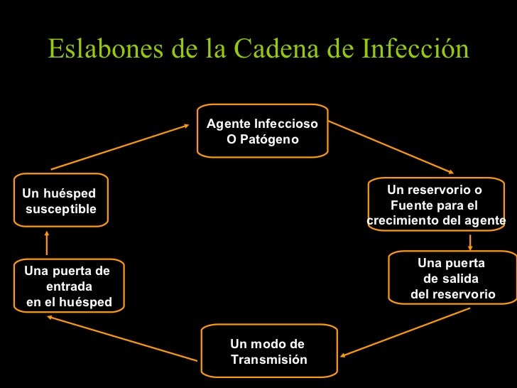 Cadena de Infección