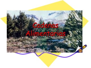 Cadenas alimentarias | PPT