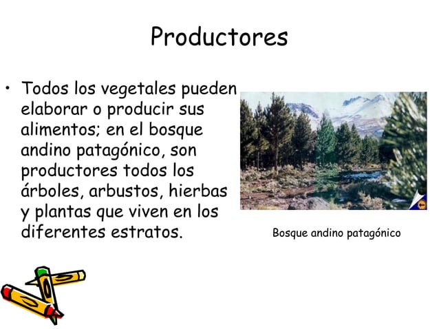 Cadenas alimentarias | PPT