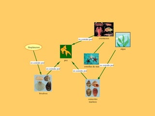 Cadena Alimenticia | PPT