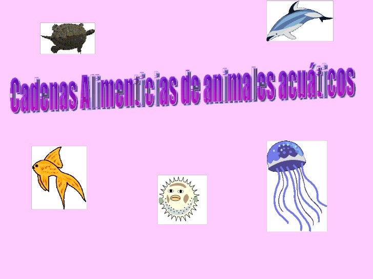 Cadena alimenticia acuatica - Imagui