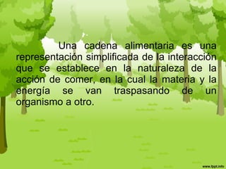 Cadena alimentaria | PPT