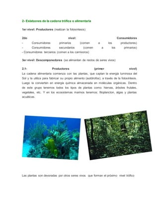 Cadena alimentaria | DOCX