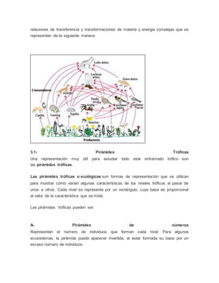 Cadena alimentaria | DOCX