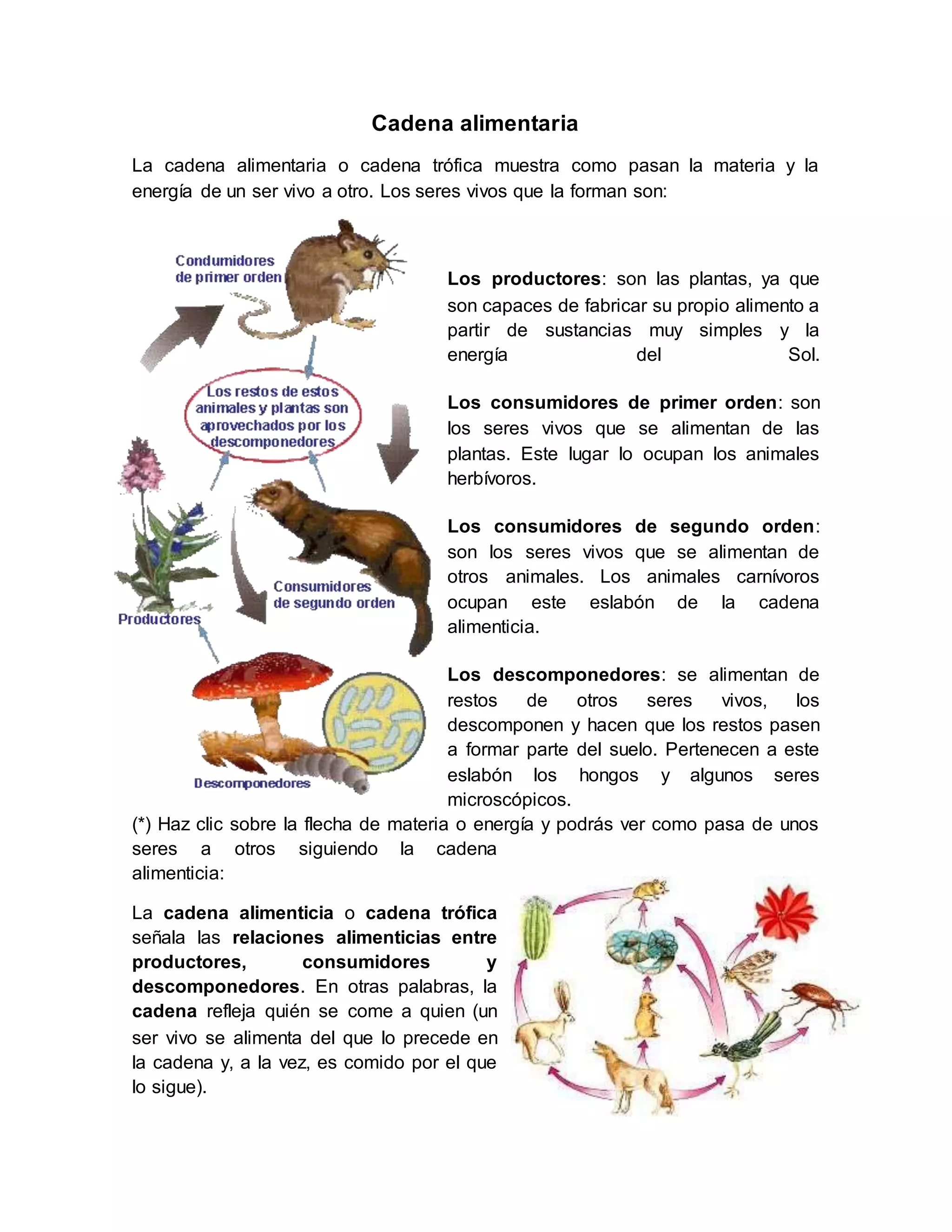 Cadena alimentaria | DOCX