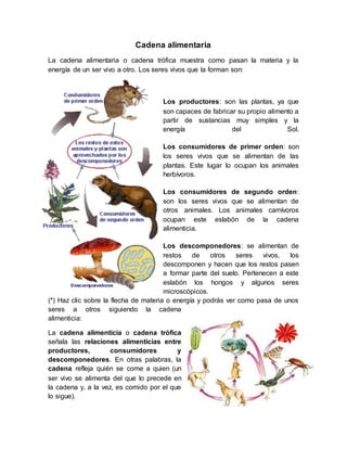 Cadena alimentaria | DOCX