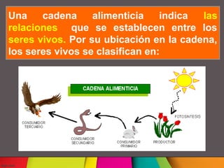 Cadena alimenticia | PPT