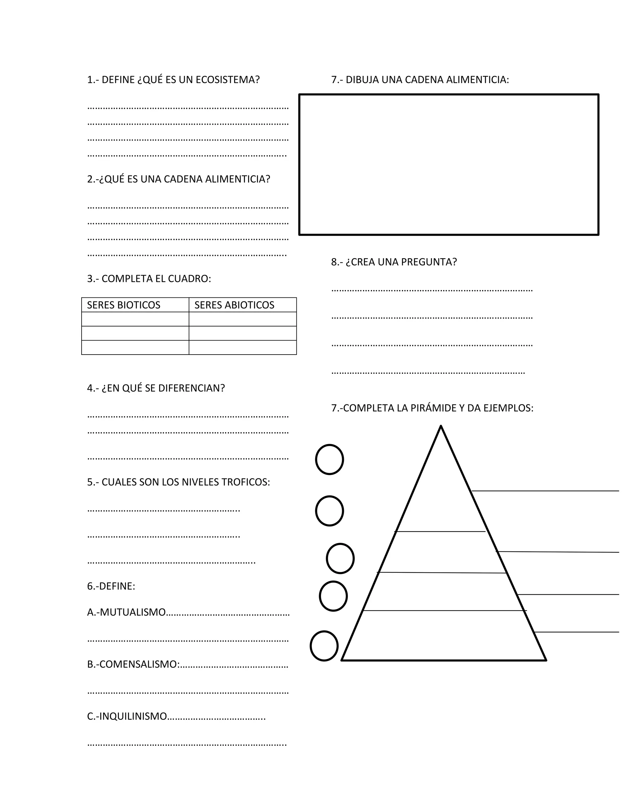 Cadena alimenticia | DOCX