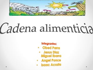 Cadena alimenticia | PPTX