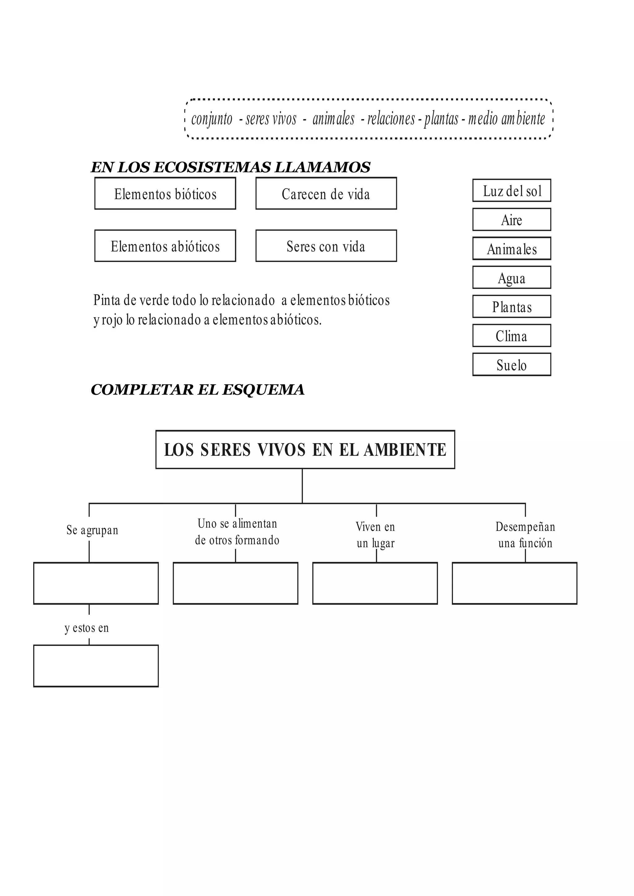 Cadena alimenticias repaso | DOCX