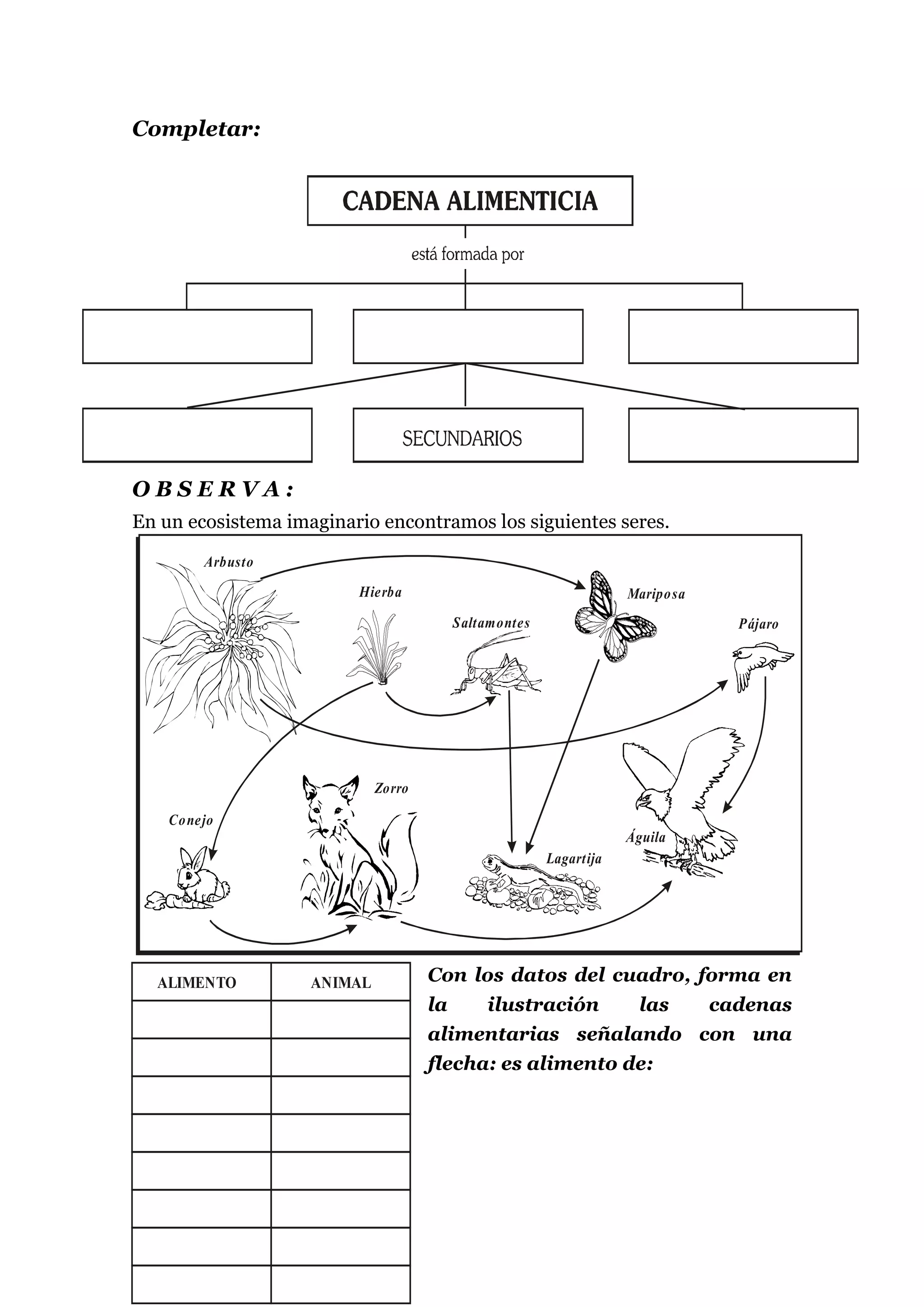 Cadena alimenticias repaso | DOCX