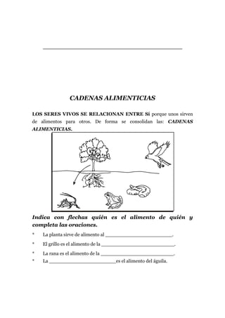 Cadena alimenticias repaso | DOCX