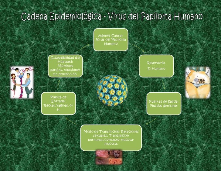 Cadena epidemiologica vph