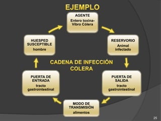 Cadena infecciosa enfermeria | PPSX