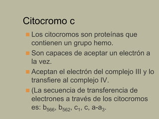 Cadena respiratoria y fo | PPT