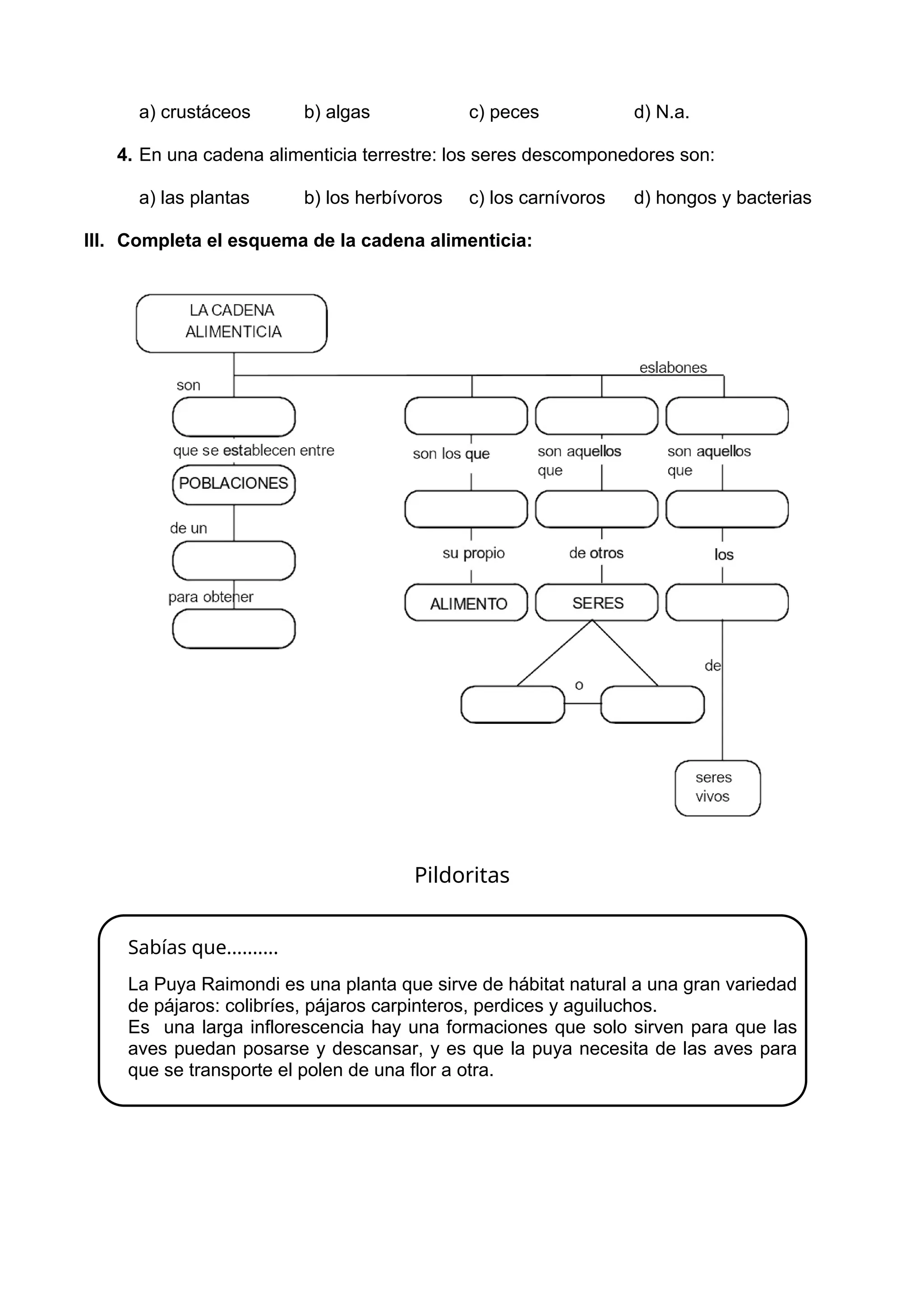 Cadenas-y-Redes-Alimenticias-para-Quinto-de-Primaria.doc