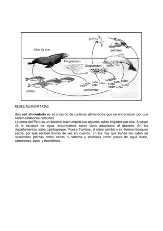 Cadenas-y-Redes-Alimenticias-para-Quinto-de-Primaria.doc