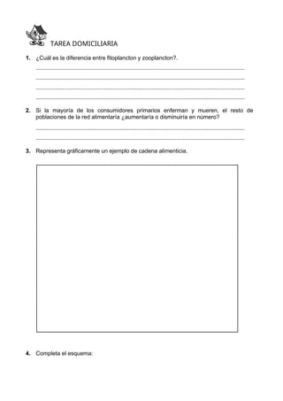 Cadenas-y-Redes-Alimenticias-para-Quinto-de-Primaria.doc