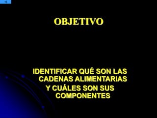 Cadenas alimentarias | PPT