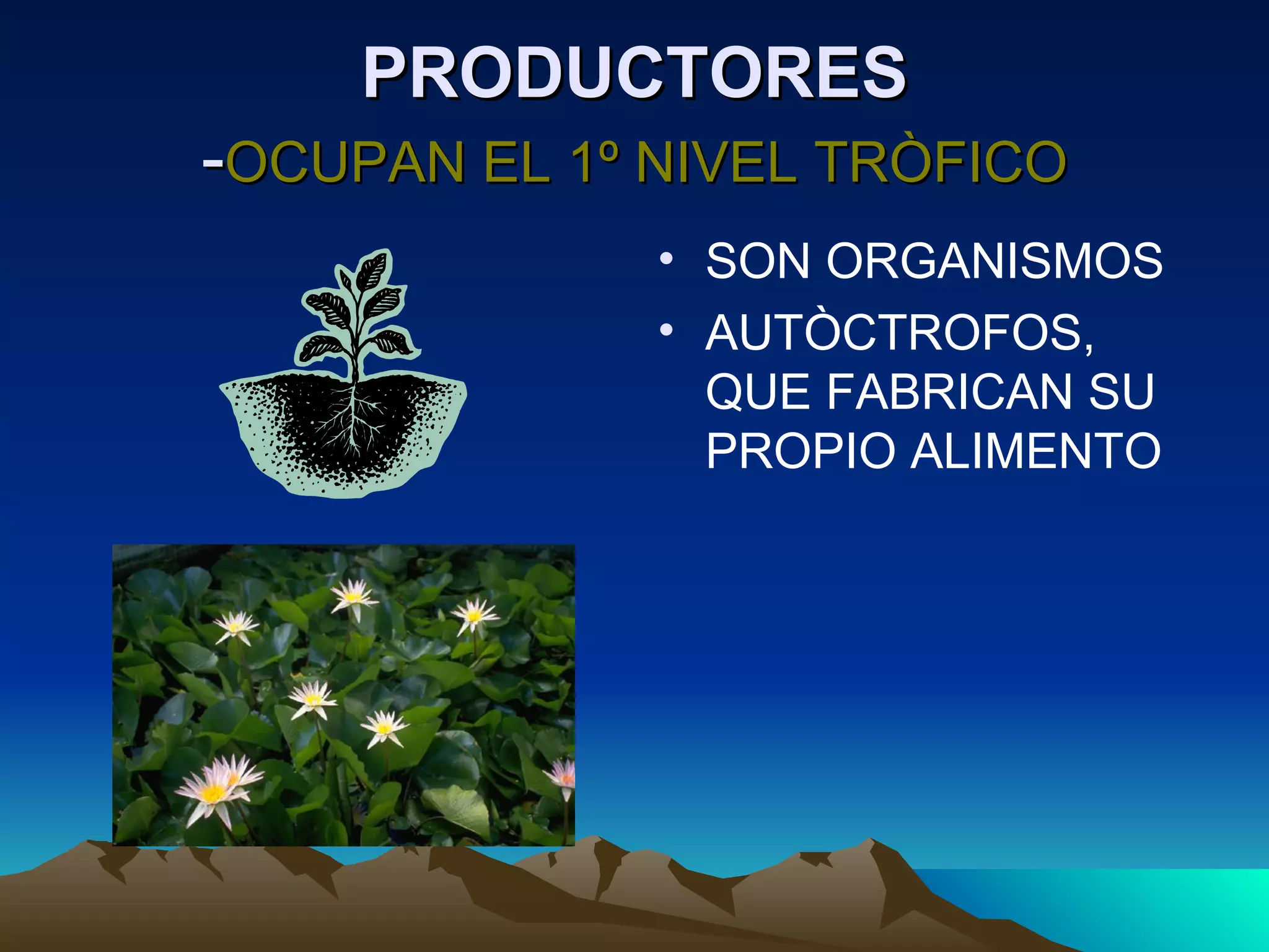 Cadenas alimentarias | PPT