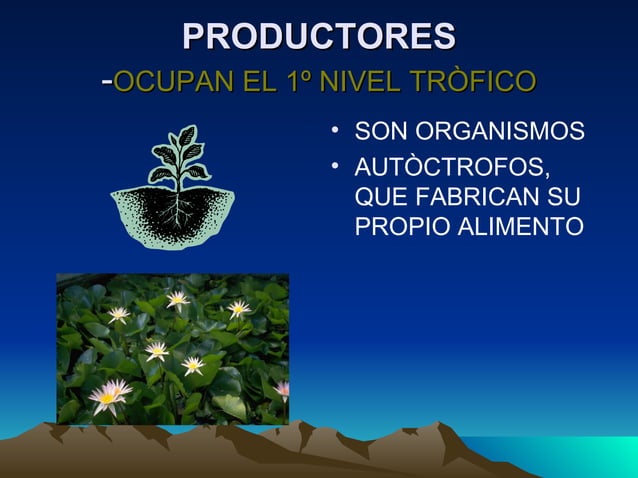 Cadenas alimentarias | PPT